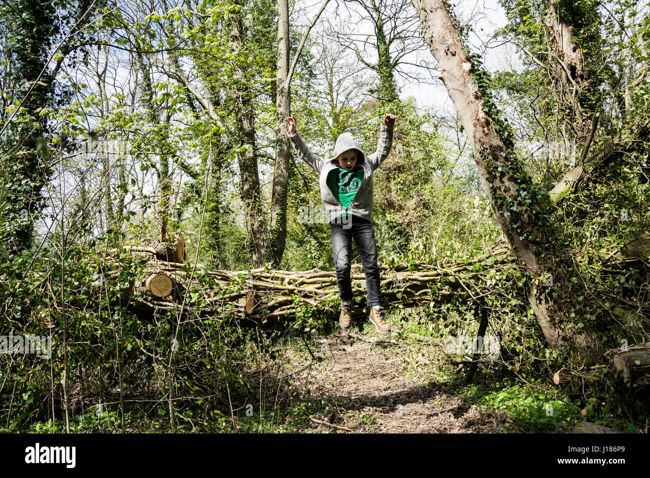 Boy jumping off a log in the woods Stock Photo - Alamy
