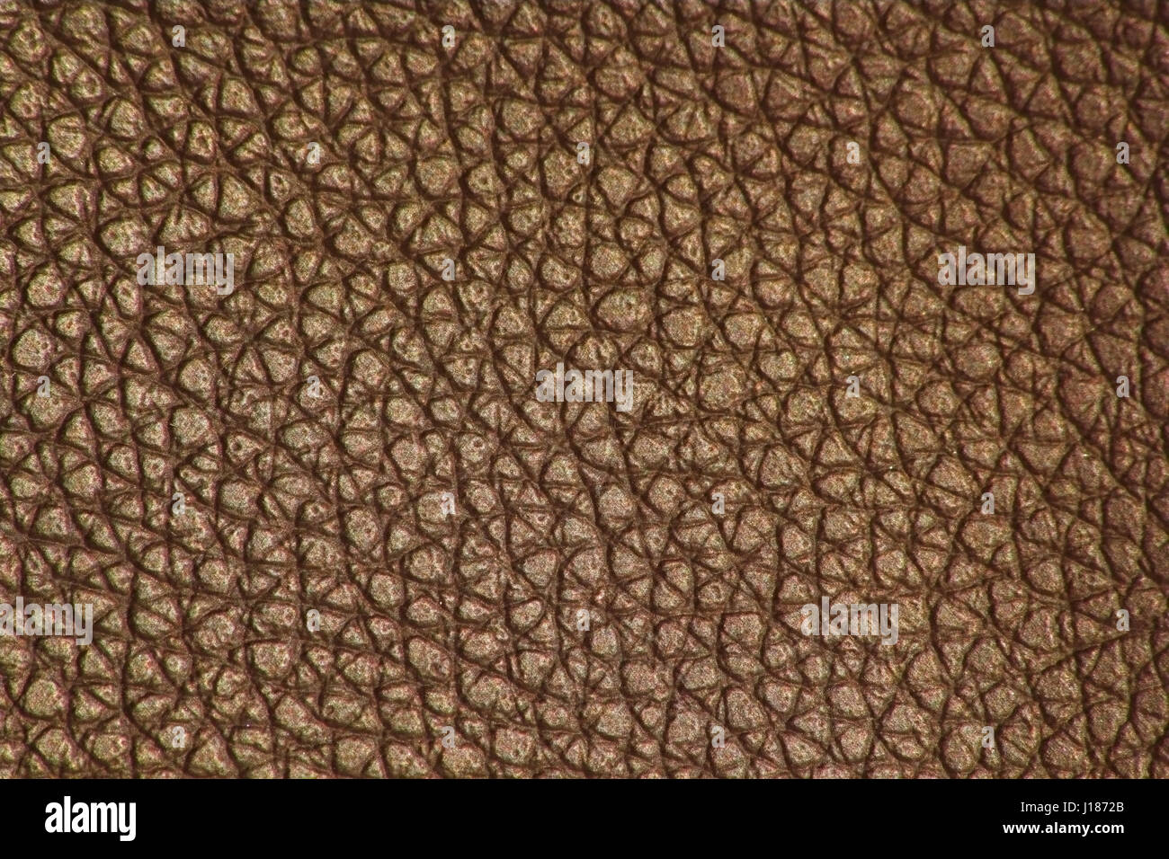 Leather layers hi-res stock photography and images - Alamy