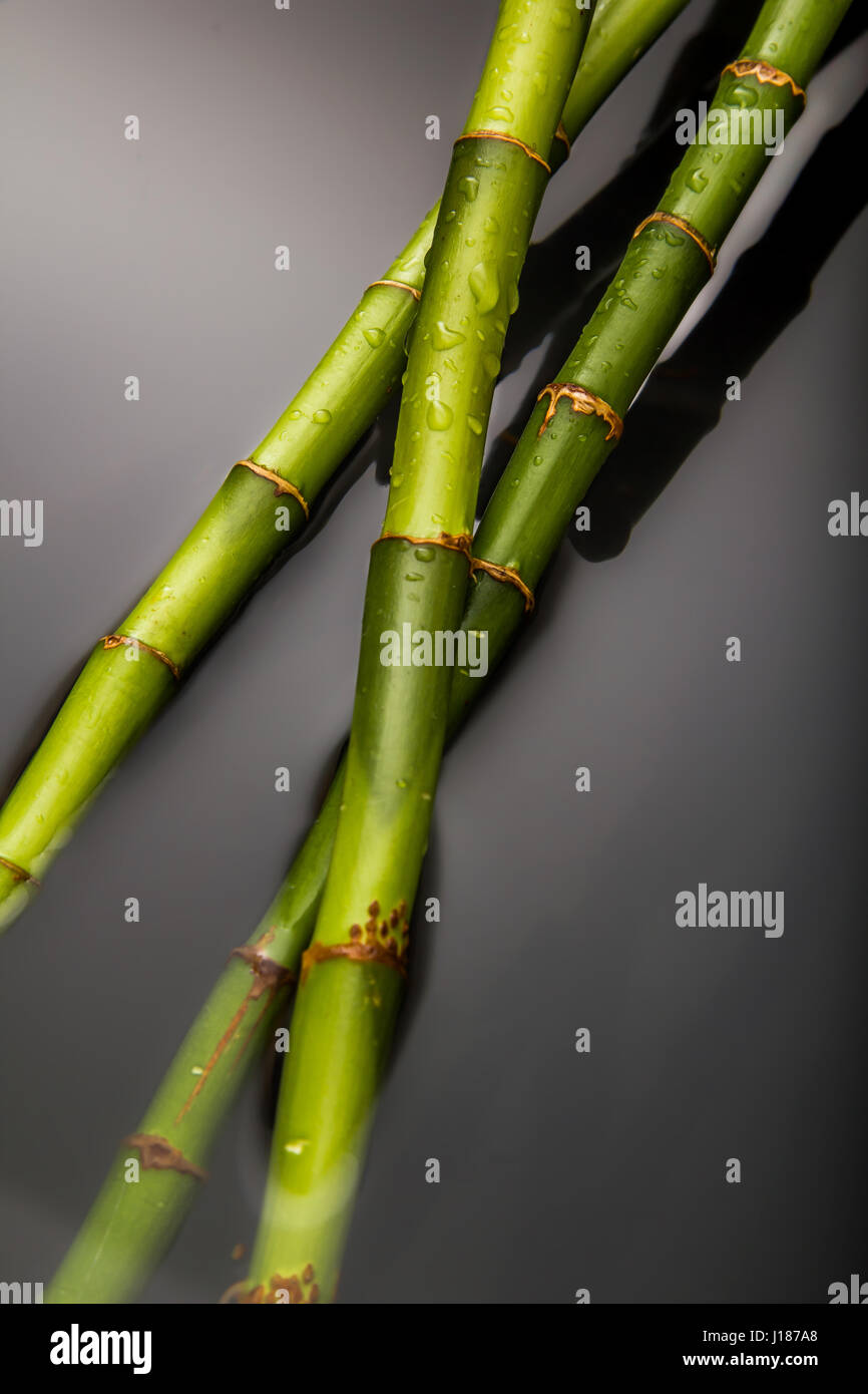 Bamboo on water Stock Photo - Alamy