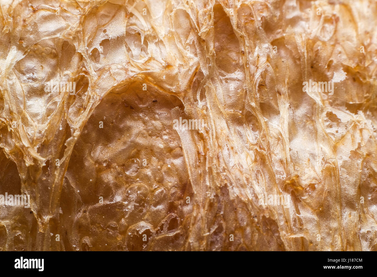Seamless bread texture hi-res stock photography and images - Alamy