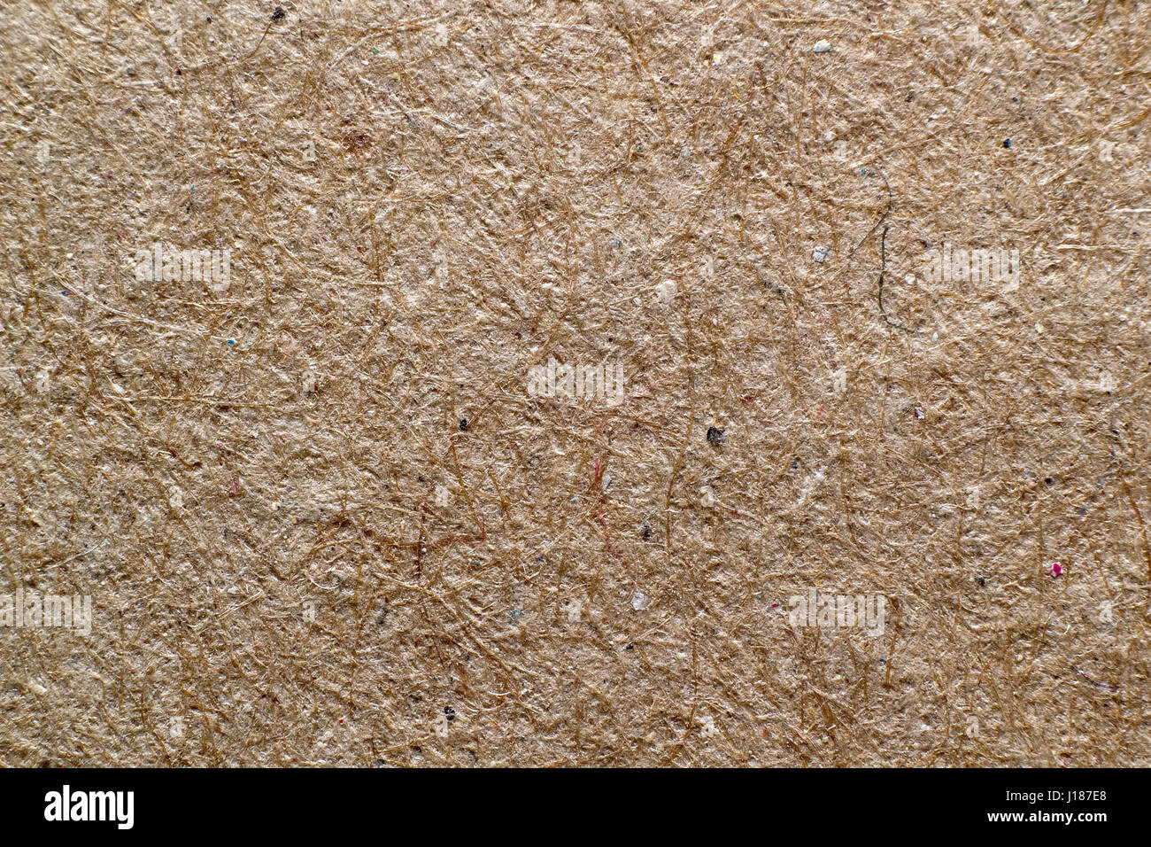 Detailed texture of cardboard Stock Photo - Alamy