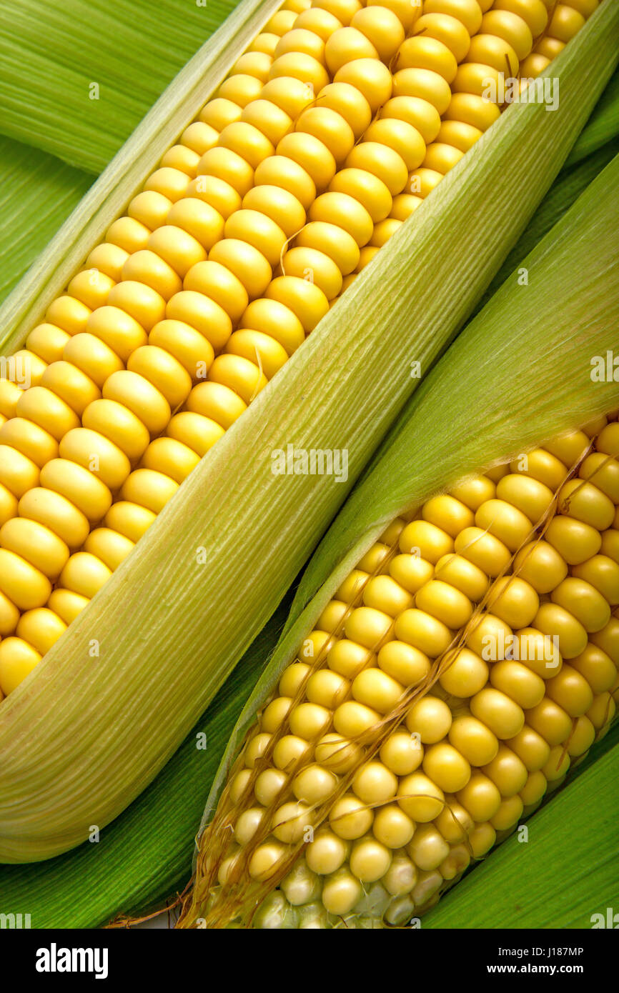 Corn and cob Stock Photo - Alamy