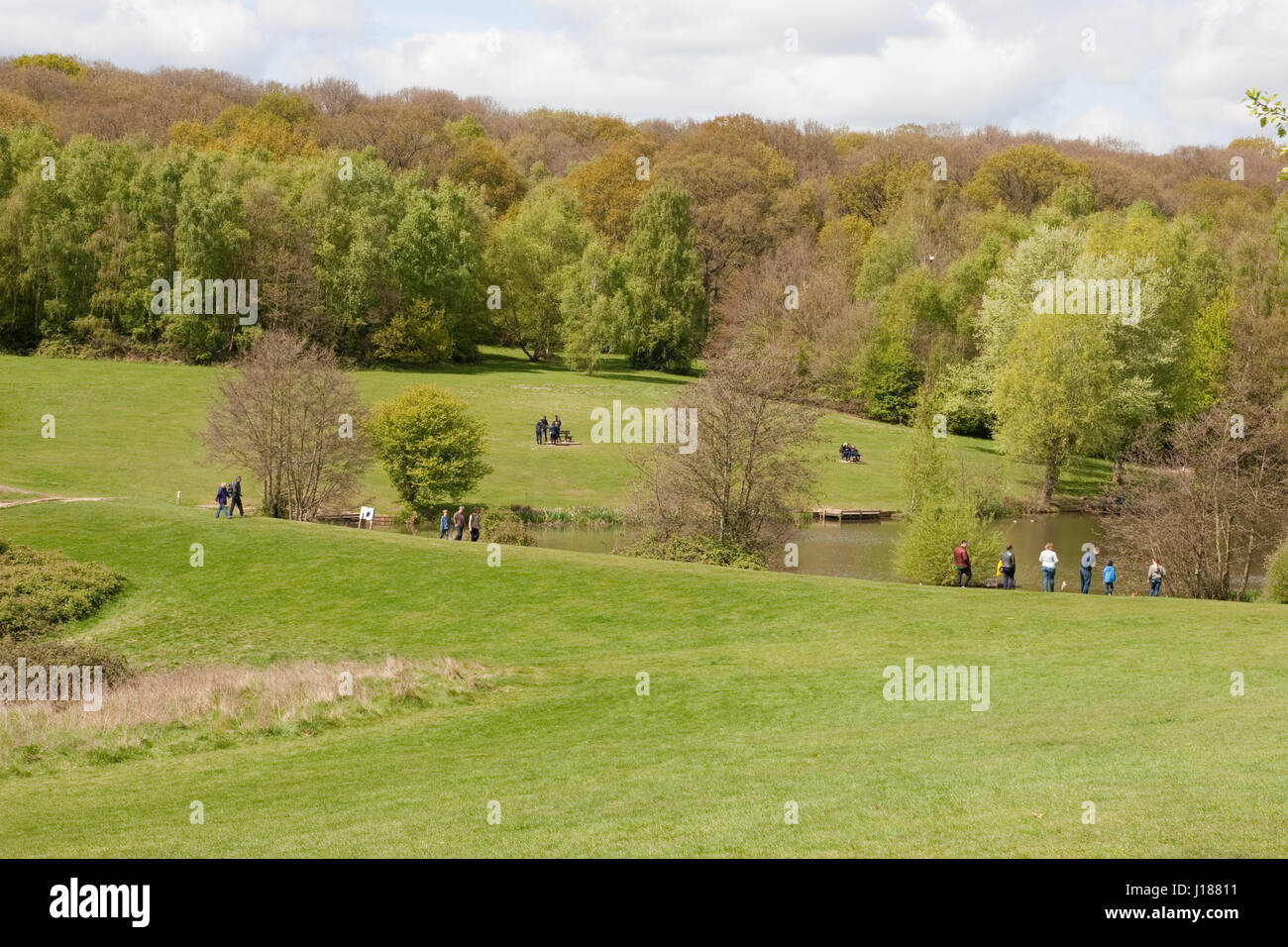 Looking towards the lake at Highwoods Country Park, Colchester, Essex ...