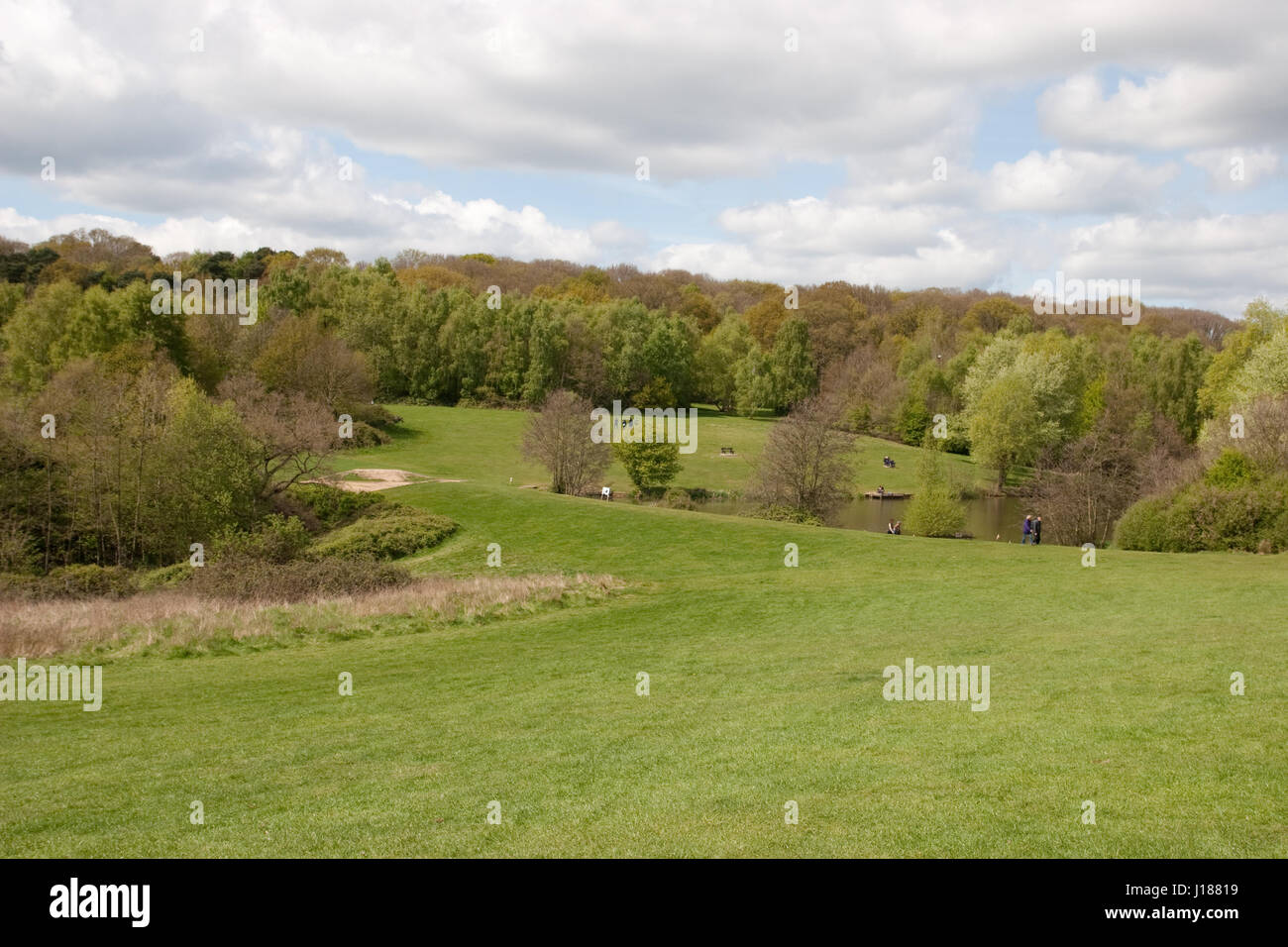 Essex country park hi-res stock photography and images - Alamy