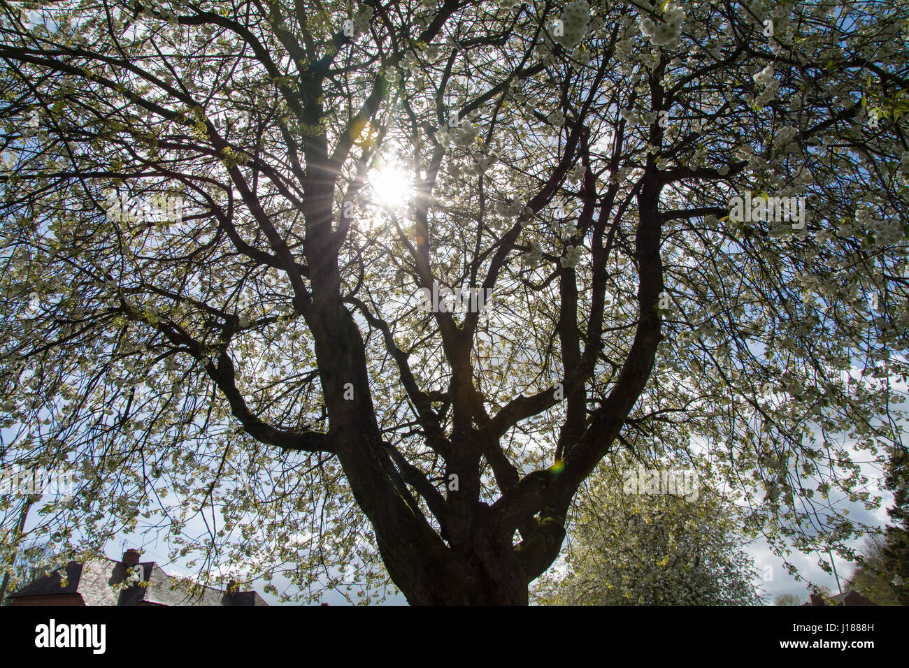 Day of spring equinox hi-res stock photography and images - Alamy