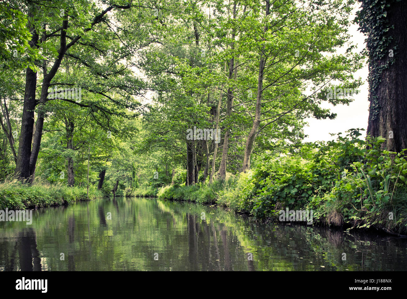 Spreewald is a picturesque section of the Brandenburg, Germany ...