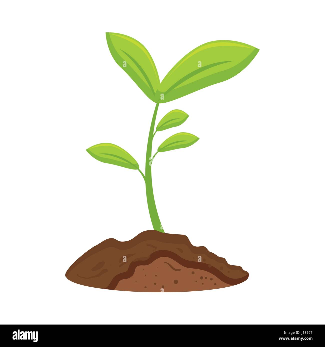 Cultive Stock Vector Images - Alamy