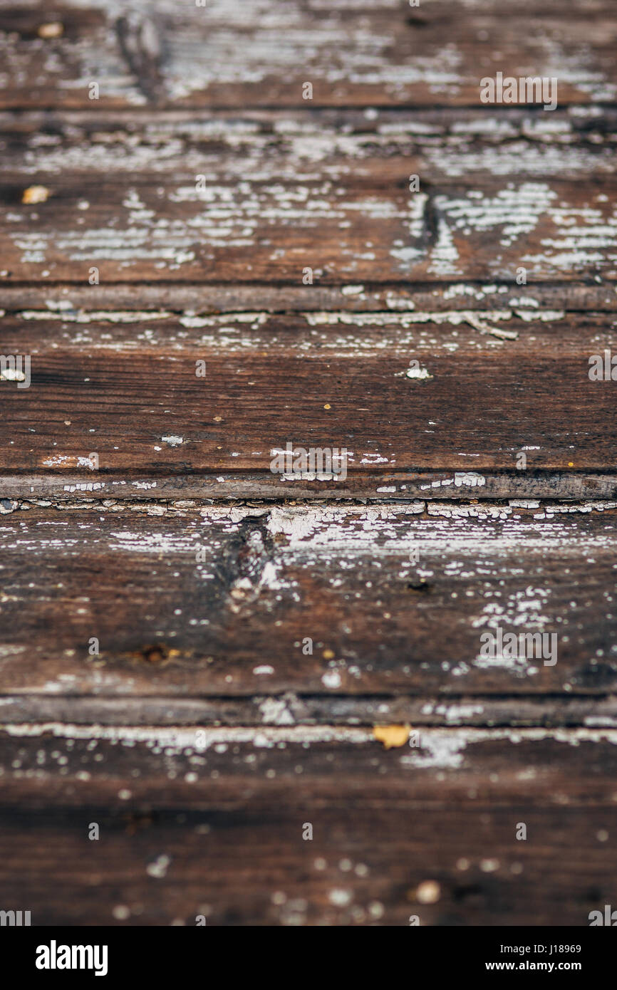 Texture of a tree Stock Photo - Alamy