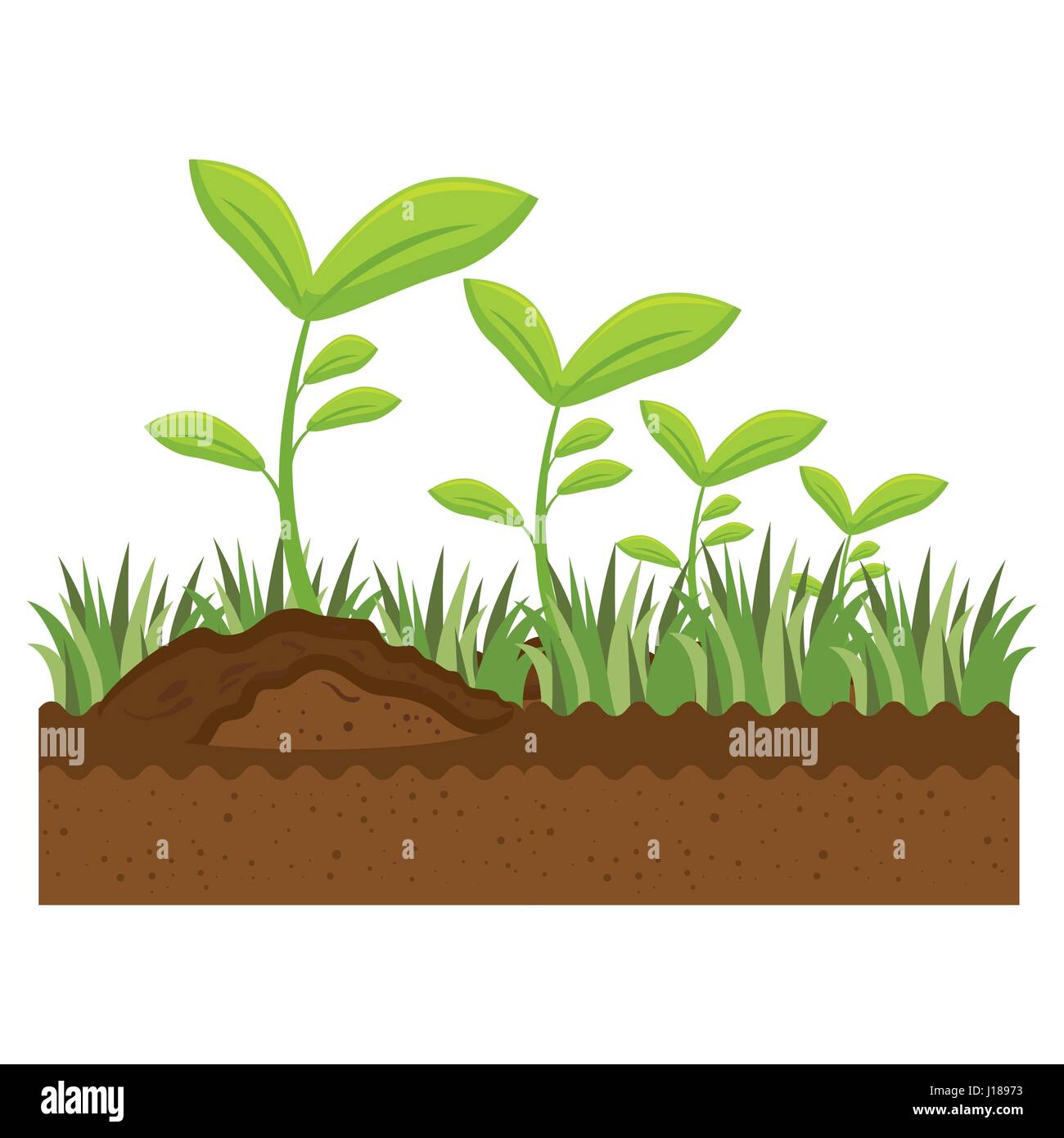 cute garden plants cultive Stock Vector Image & Art - Alamy