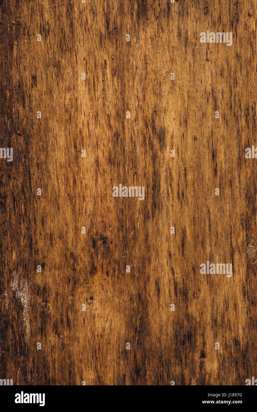 Texture of a tree Stock Photo - Alamy