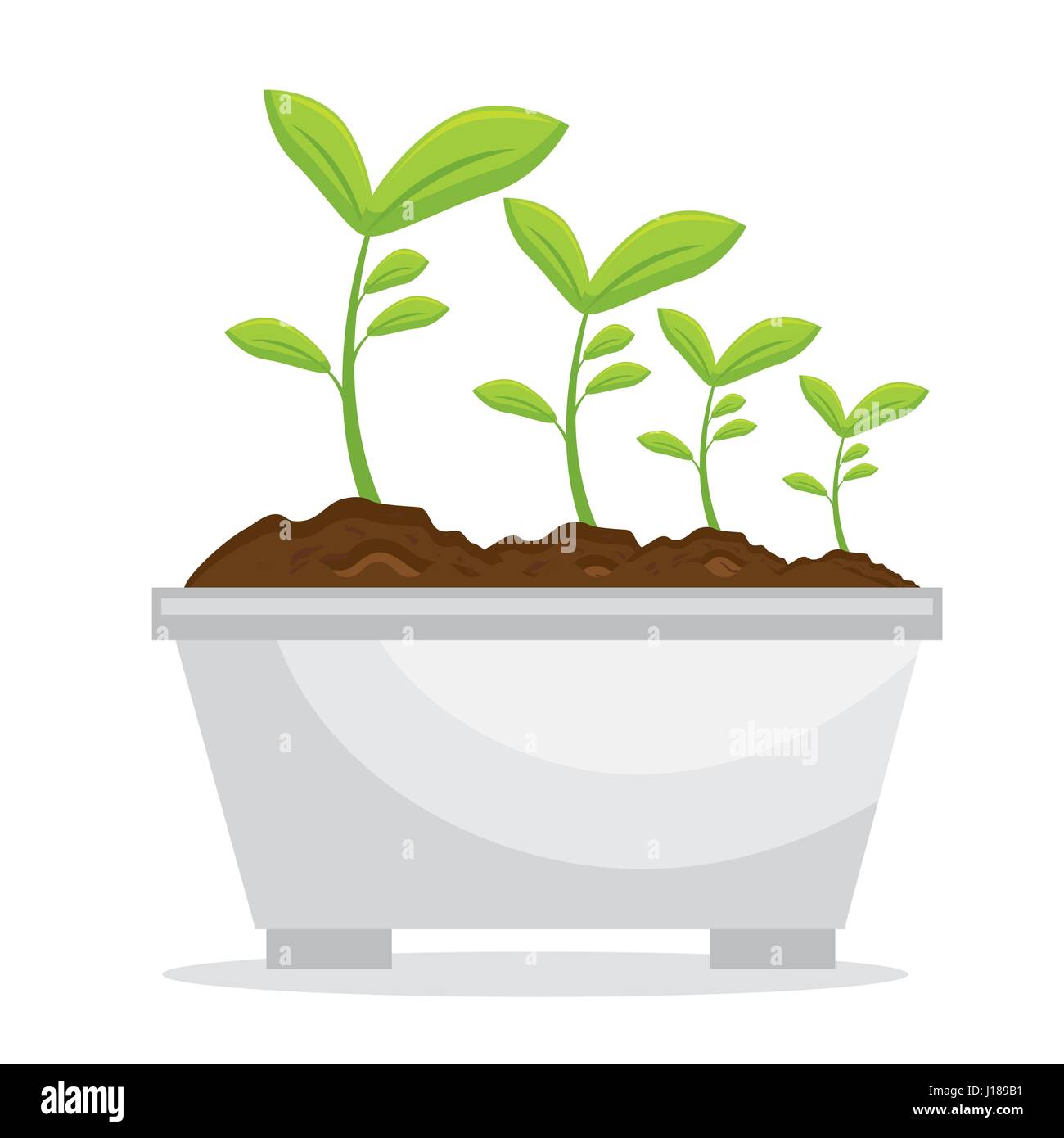 cute garden plants cultive Stock Vector Image & Art - Alamy