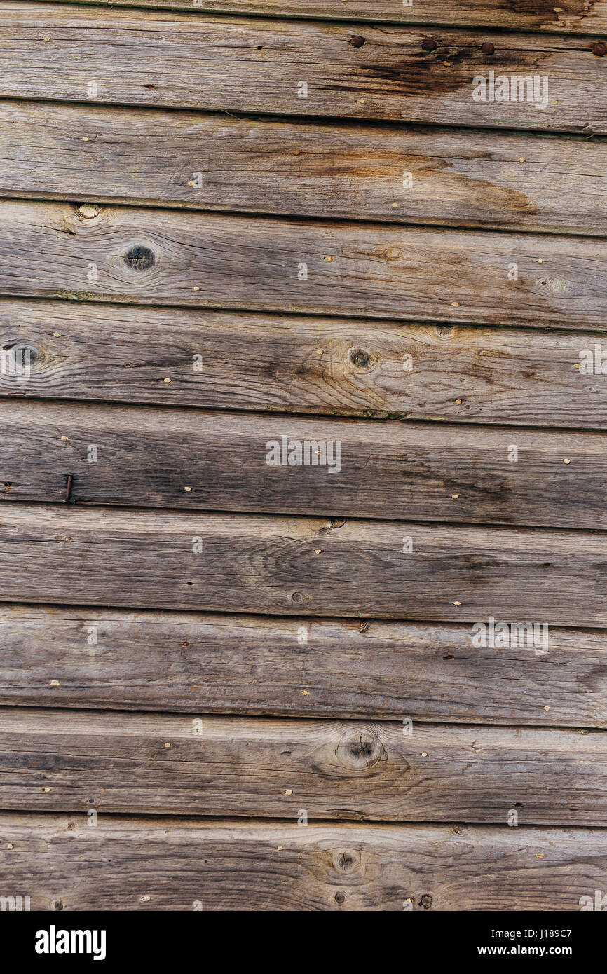 Texture of a tree Stock Photo - Alamy