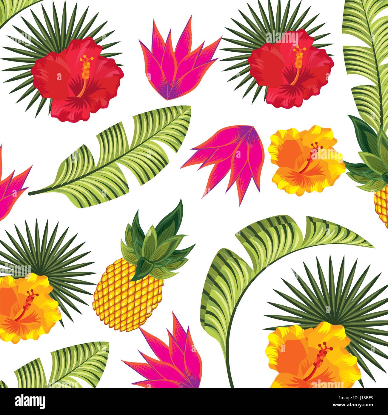 tropical flowers design Stock Vector Image & Art - Alamy