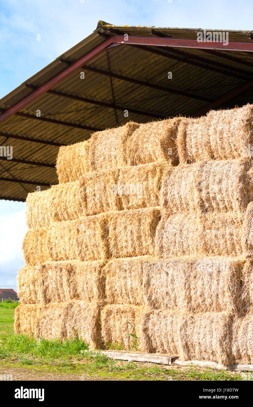 Haystack stored on a French farm Stock Photo - Alamy