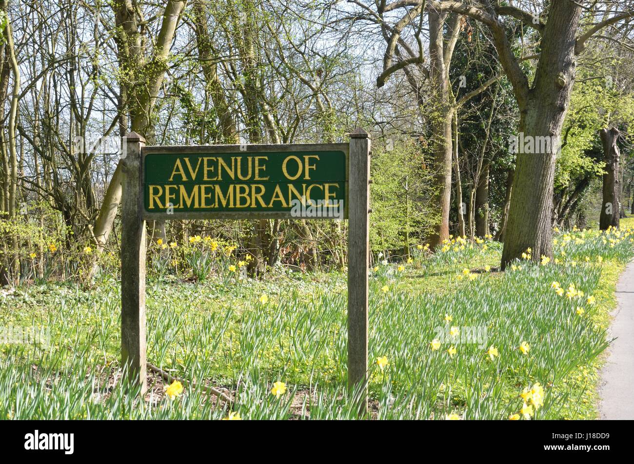 Sign for Avenue of Remembrance on Colchester Bypass Stock Photo - Alamy