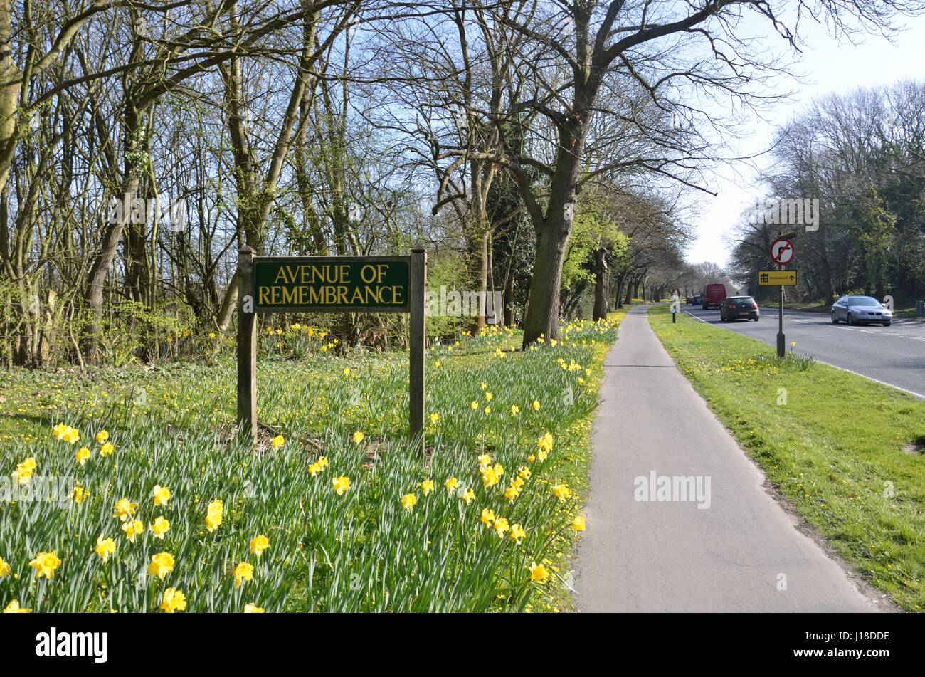 Sign for Avenue of Remembrance Colchester Bypass Stock Photo - Alamy