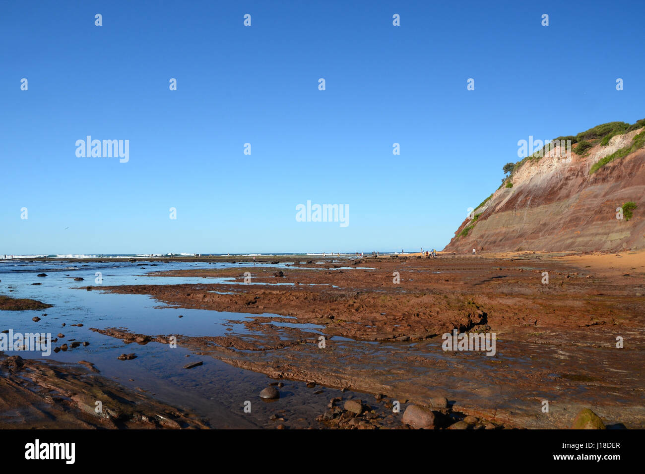 Long Reef, Sydney Stock Photo - Alamy