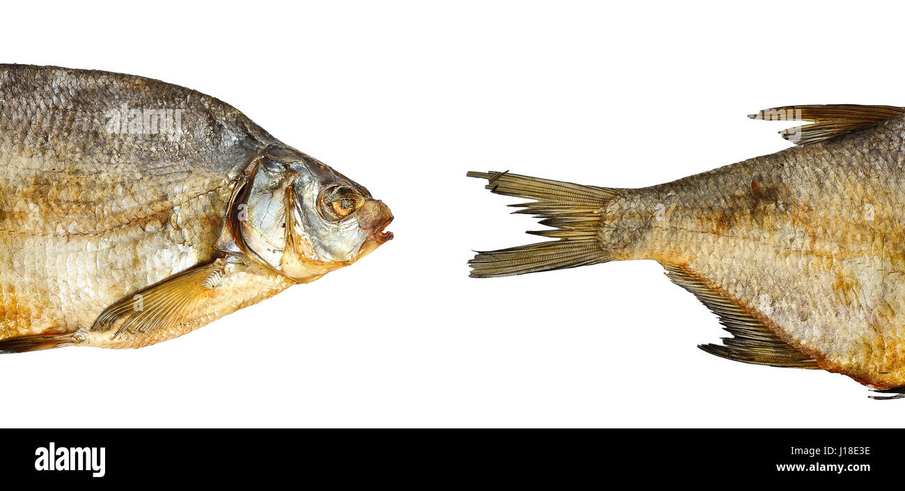 Two pieces of dry fish isolated on the white background Stock Photo - Alamy