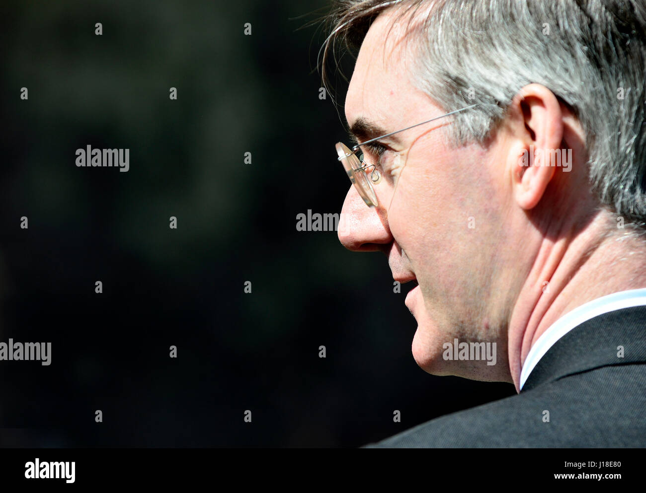 Jacob Rees-Mogg MP (Con: North East Somerset) on College Green ...