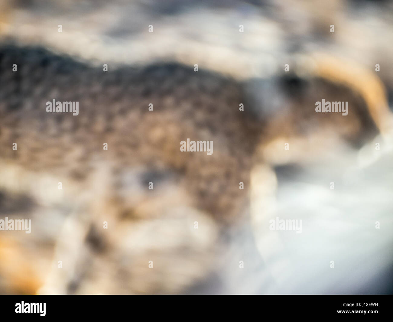Cheetah in Otjitotongwe Cheetah Farm, Namibia Stock Photo - Alamy