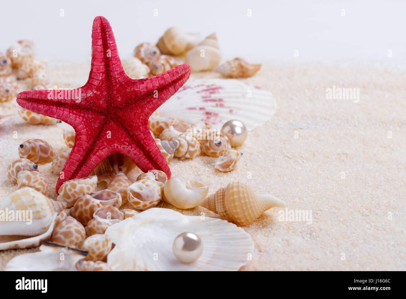 sea shells on sand summer vacation background Stock Photo - Alamy