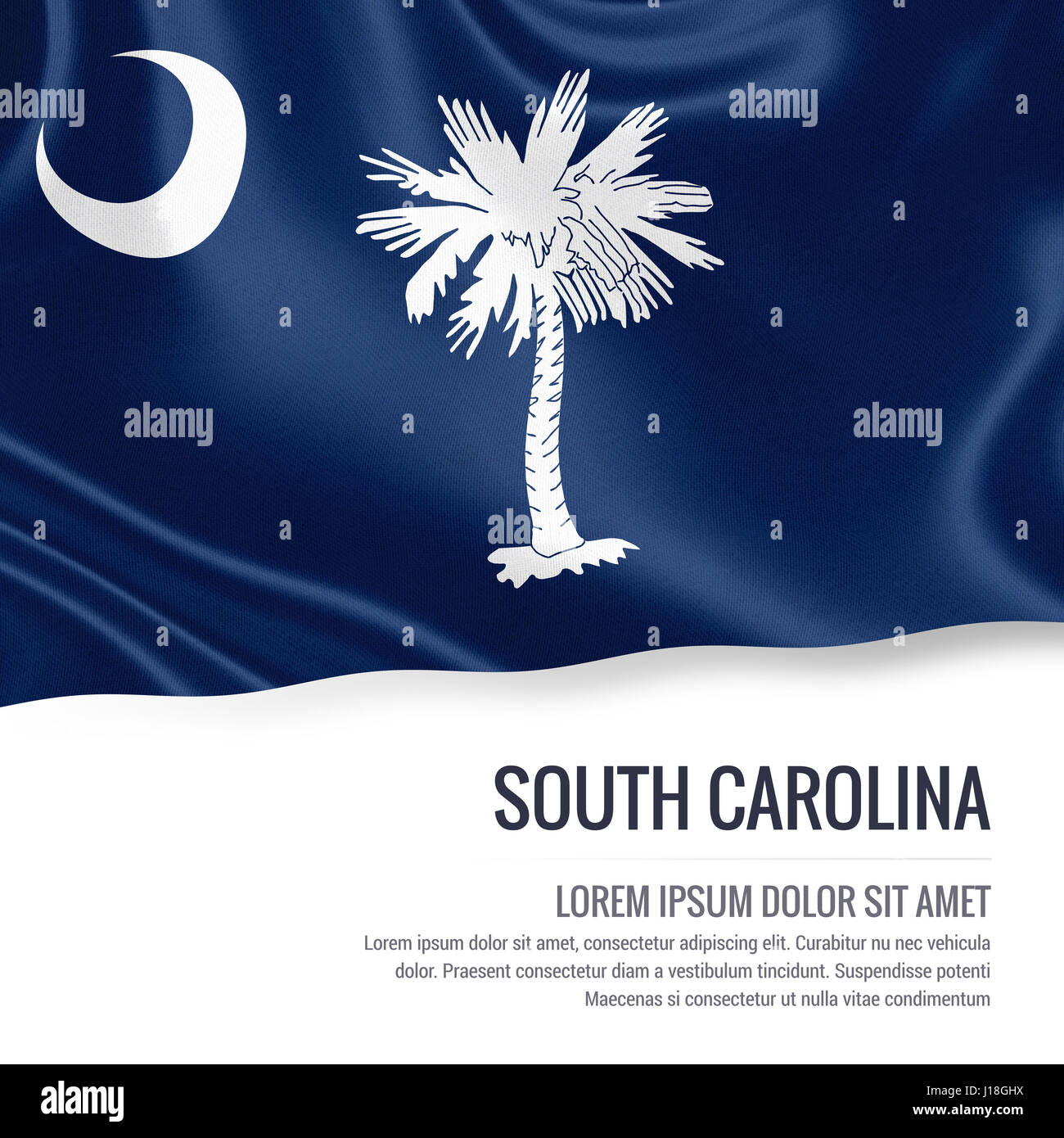 Flag of U.S. state South Carolina waving on an isolated white ...