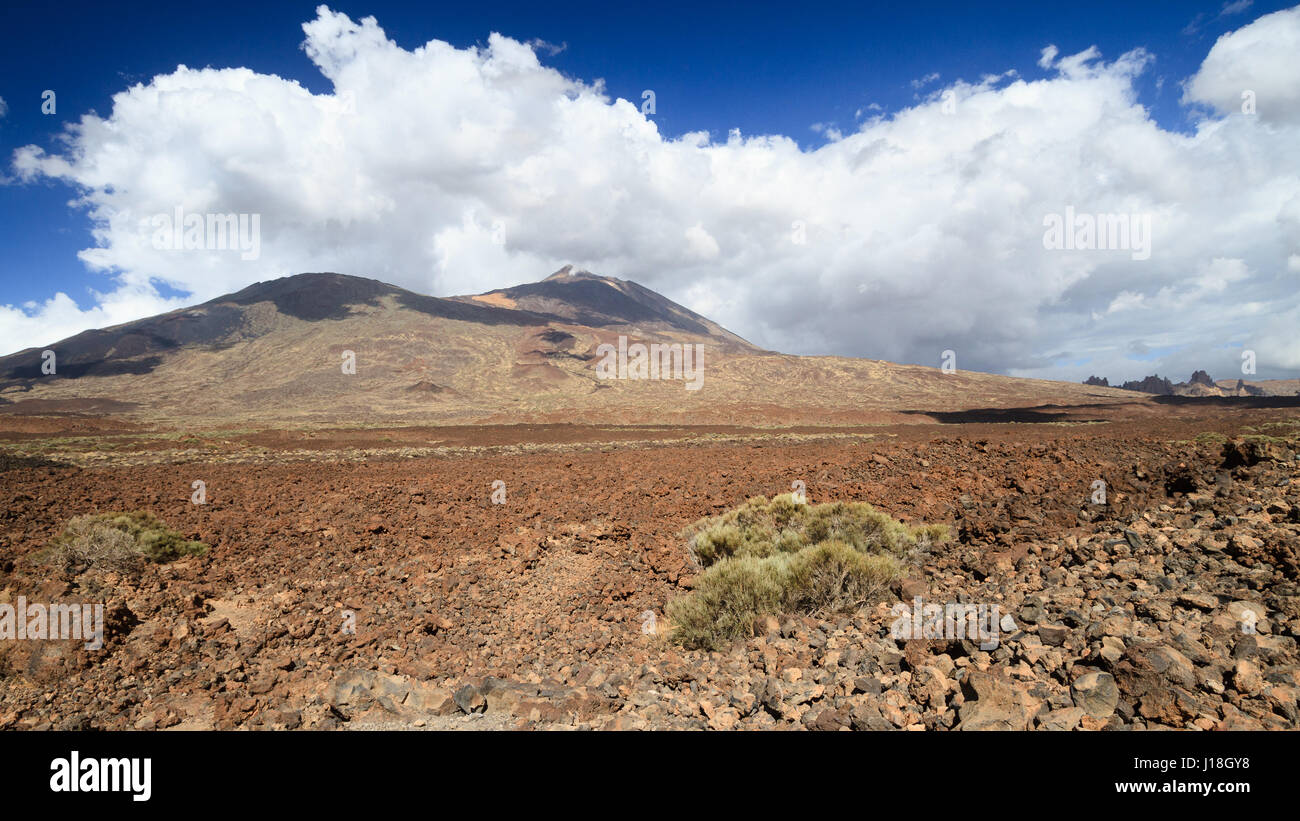 Prehistoric landscape of volcanic mountain Teide and his unique rock ...