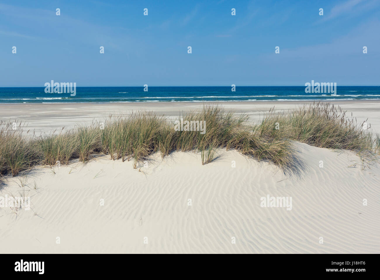 Beach and sand dunes and sea Stock Photo - Alamy