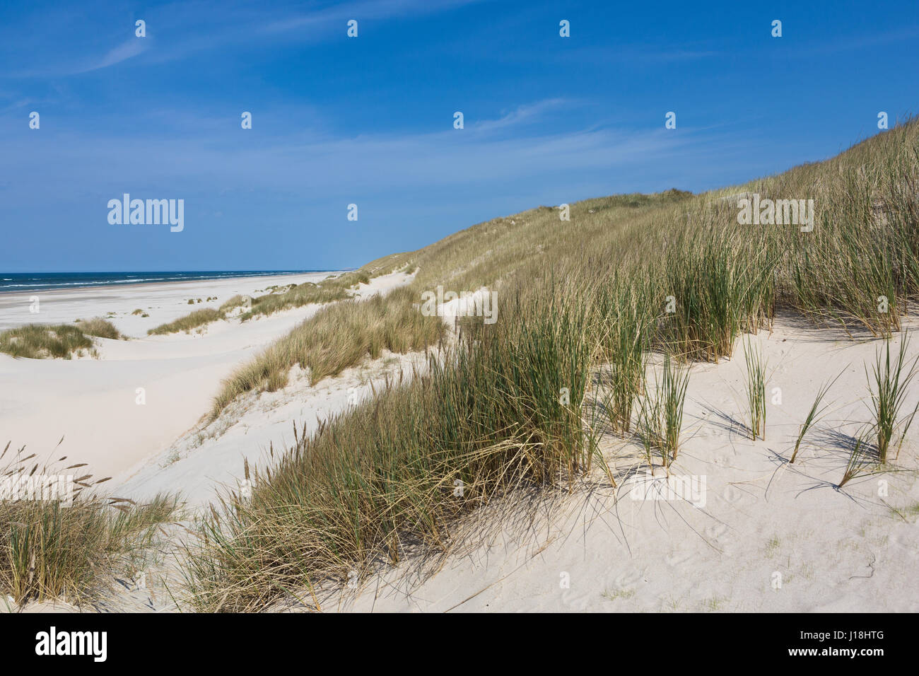 Beach and sand dunes and sea Stock Photo - Alamy