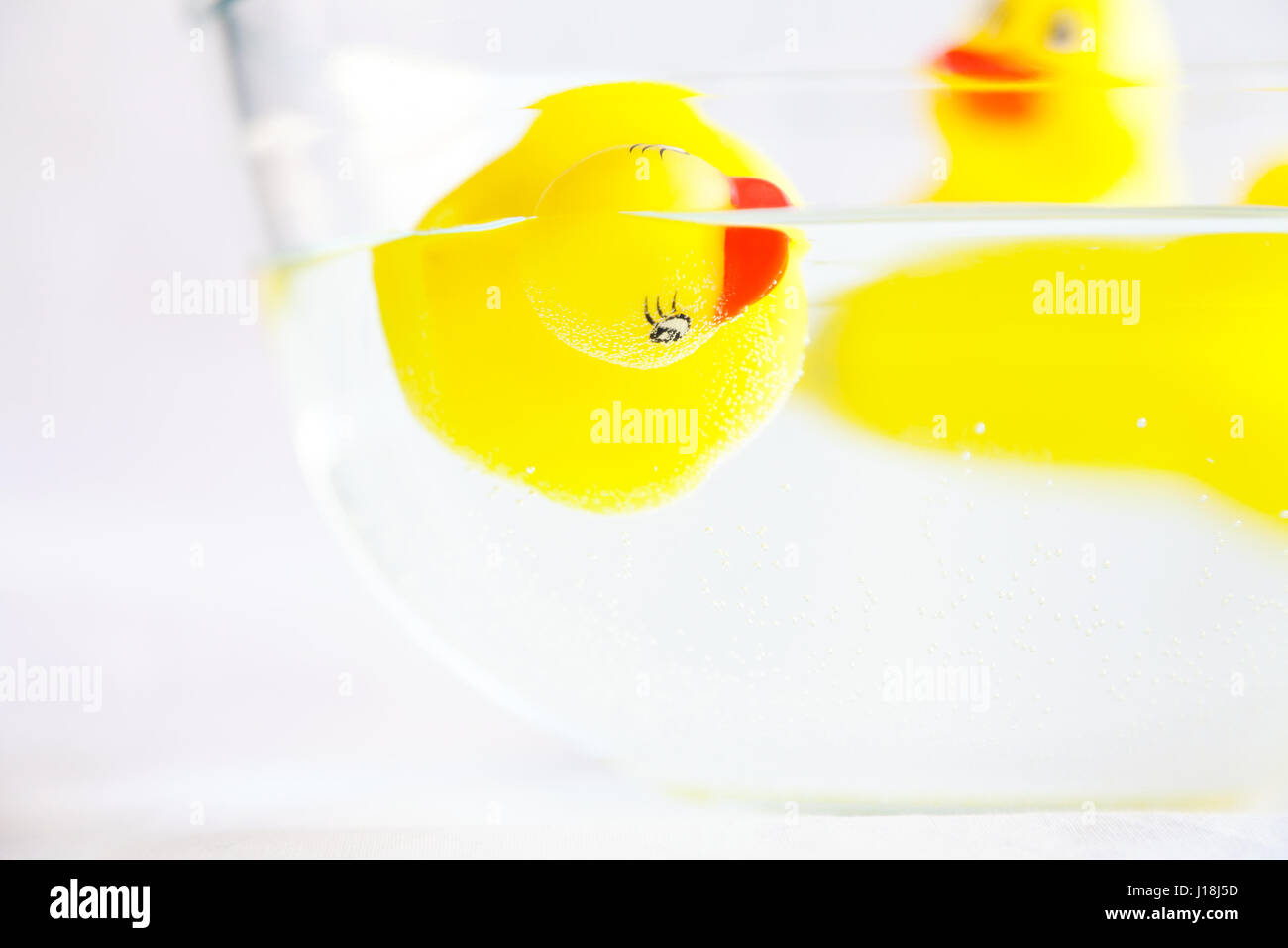 Helpless Teenager High Resolution Stock Photography and Images - Alamy