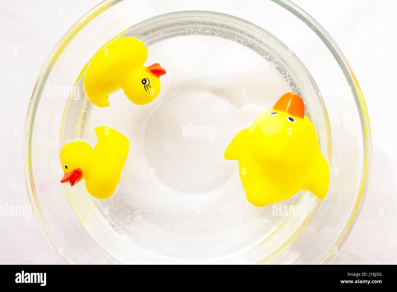 Sad Rubber Duck High Resolution Stock Photography and Images - Alamy