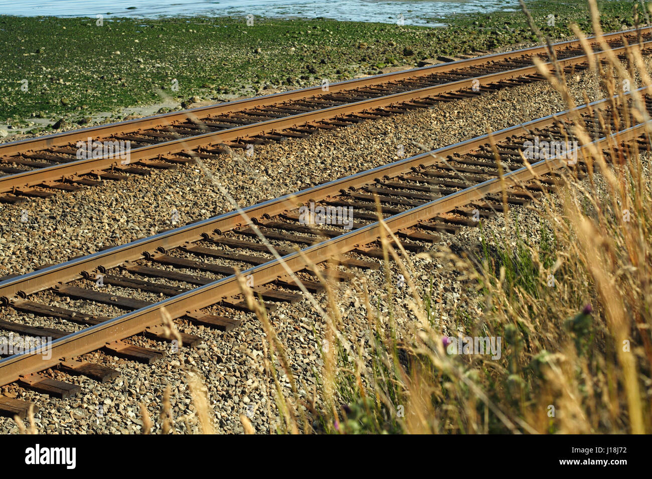 Railroad train tracks Stock Photo - Alamy