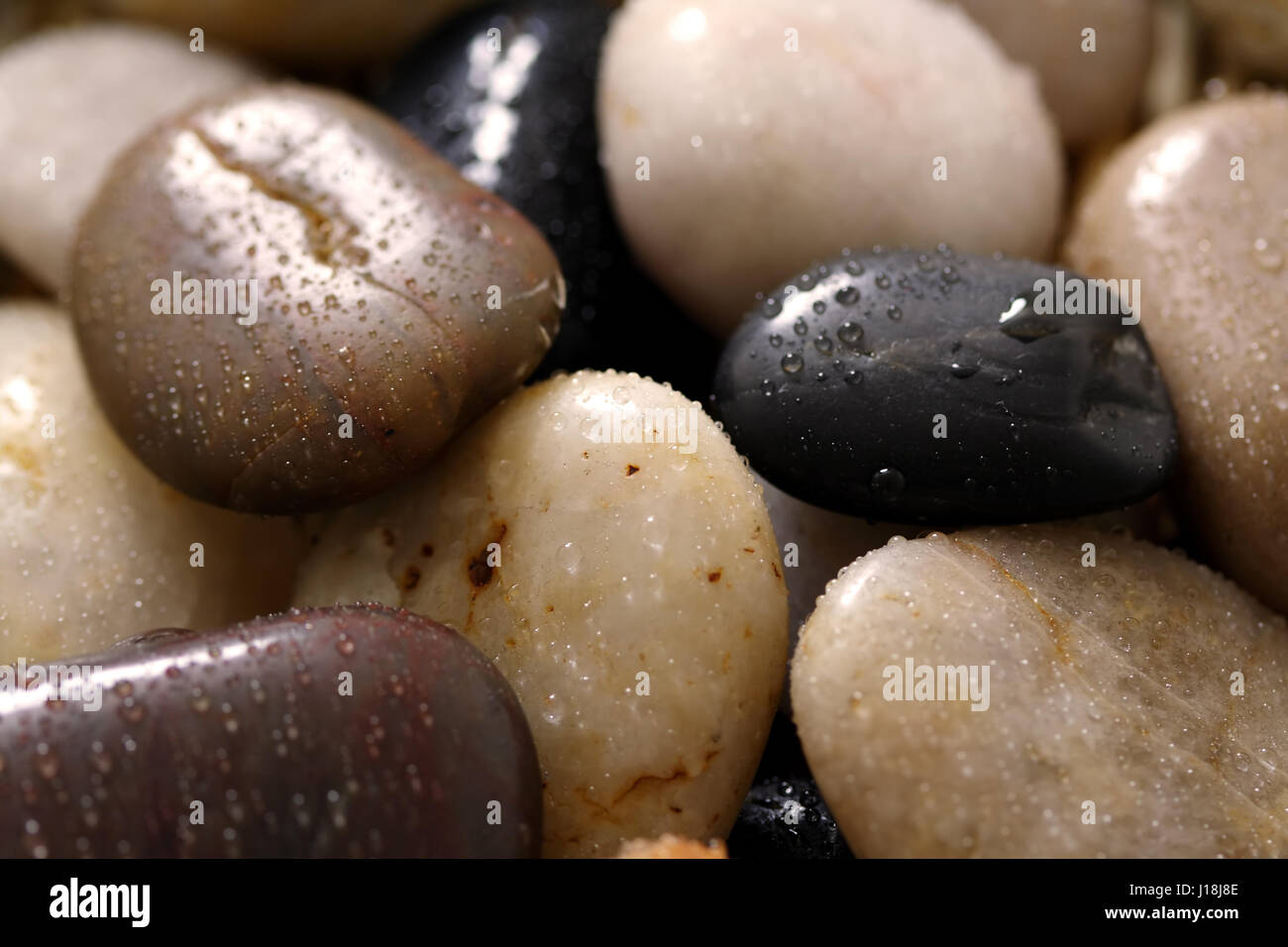 Wet river rocks Stock Photo - Alamy