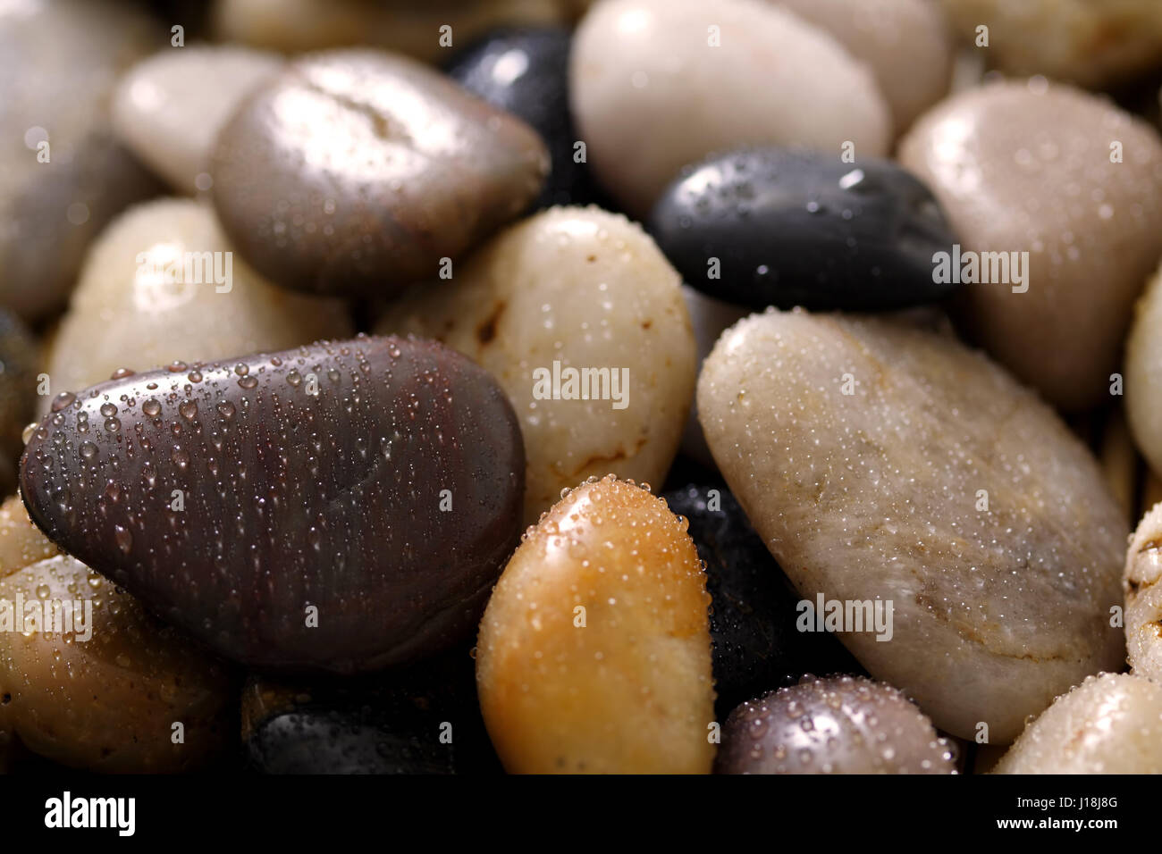 Wet river rocks Stock Photo - Alamy