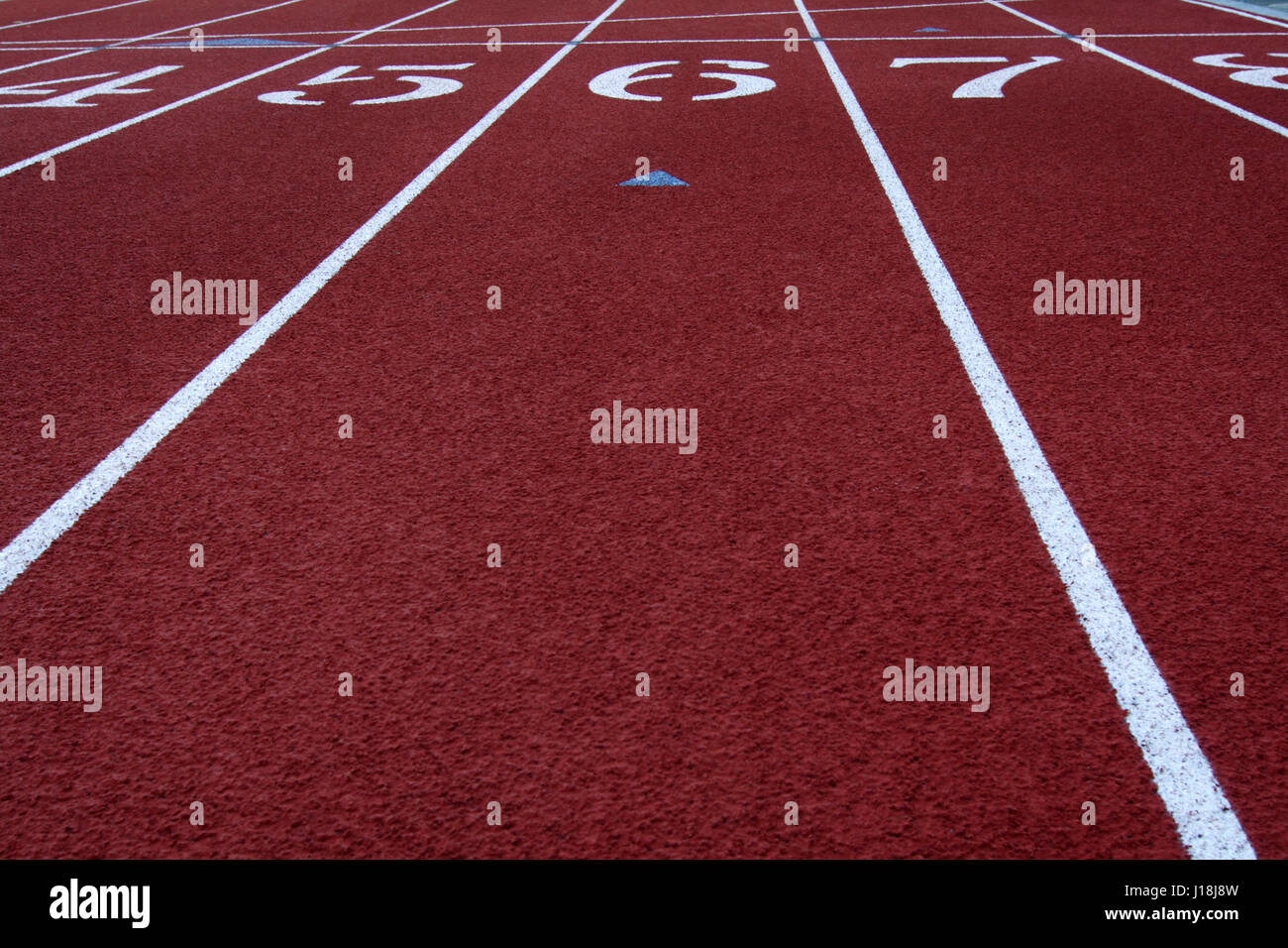 The finish line in a running track Stock Photo - Alamy