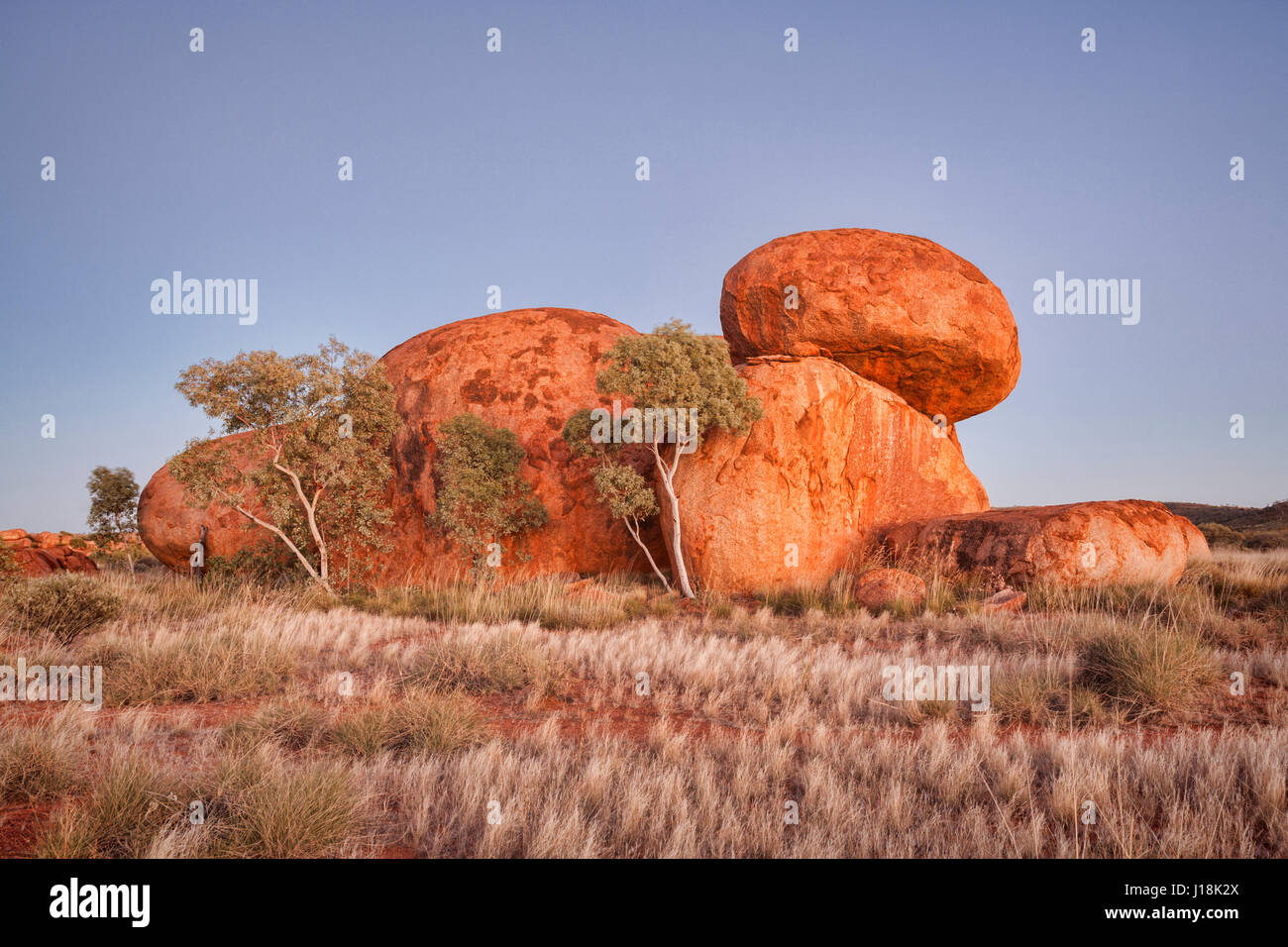 Morning light on the red granite boulders and ghost gums of the Devil's ...