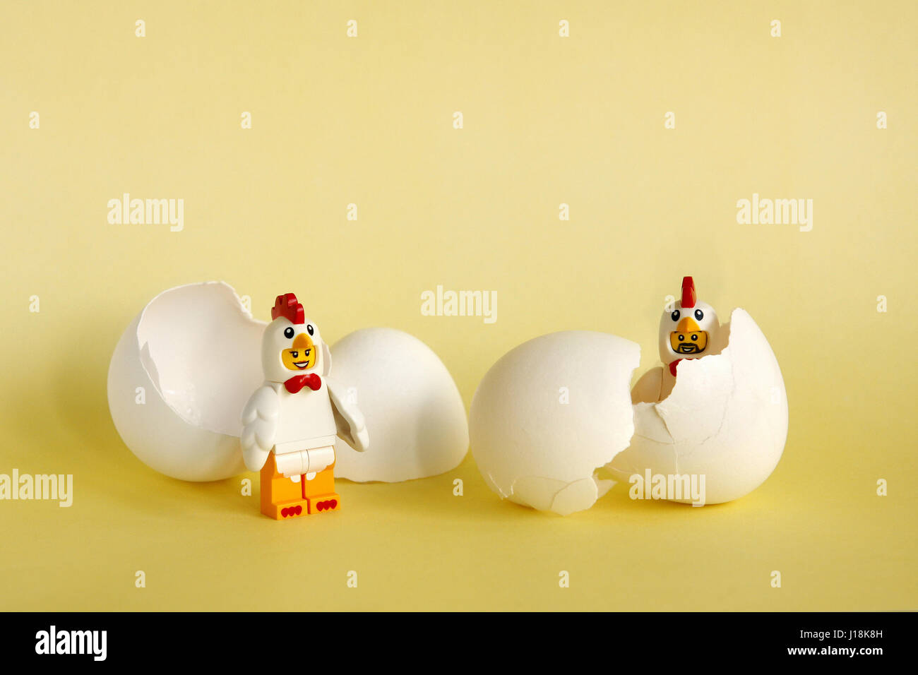 Two lego chickens hatching from eggs on yellow background Stock Photo ...