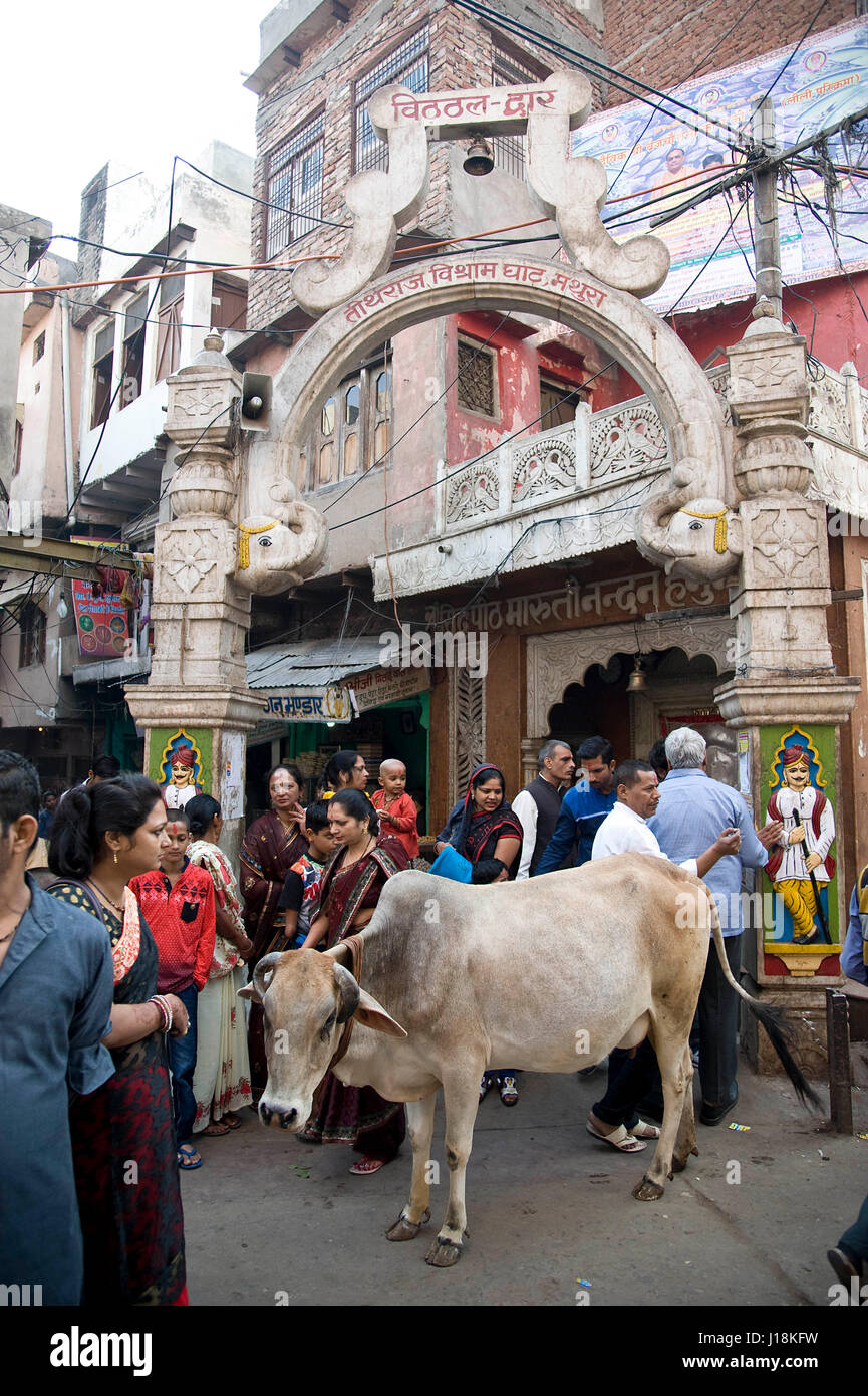 Vishram ghat mathura uttar pradesh hi-res stock photography and images ...