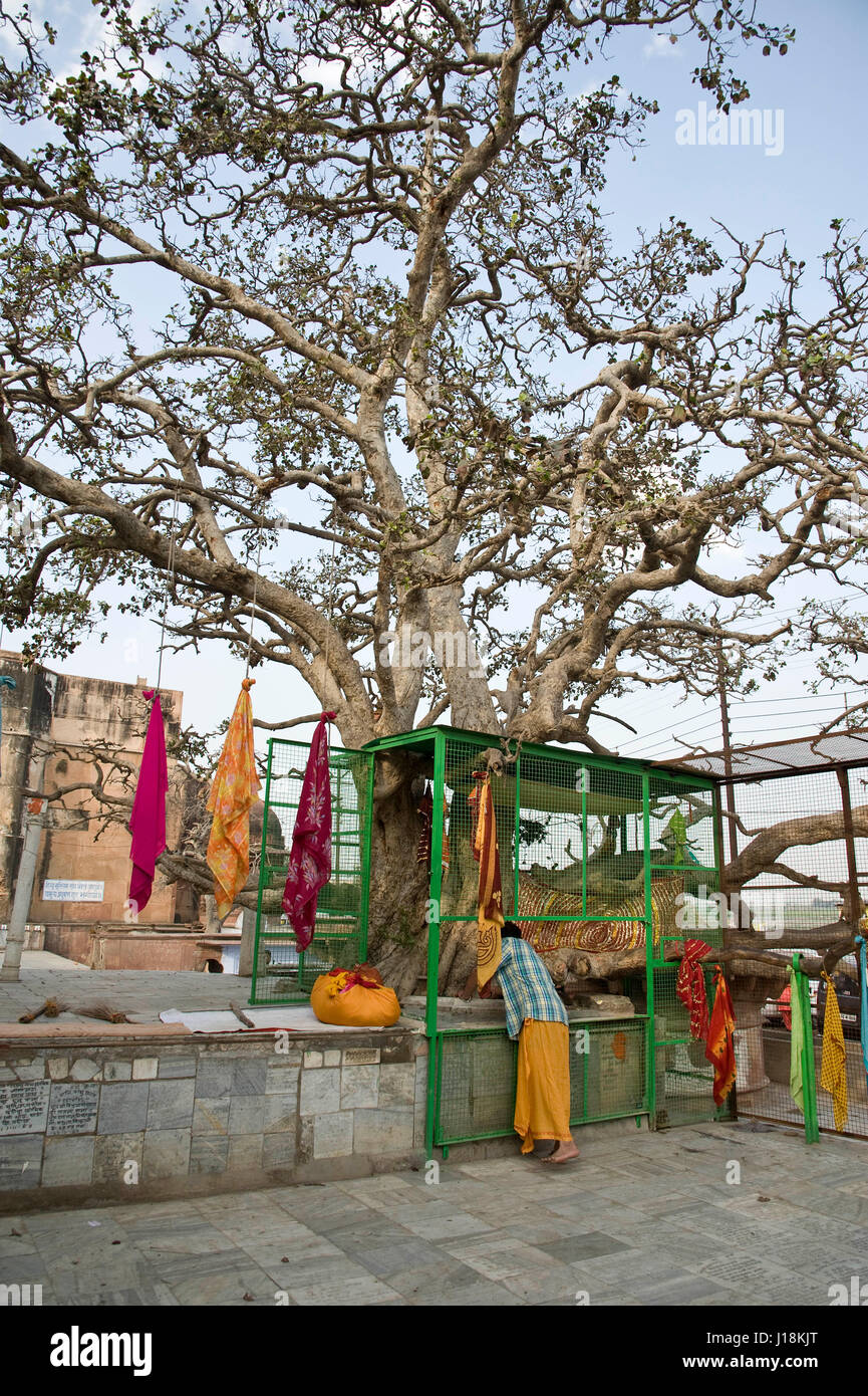 Chir ghat vrindavan hi-res stock photography and images - Alamy