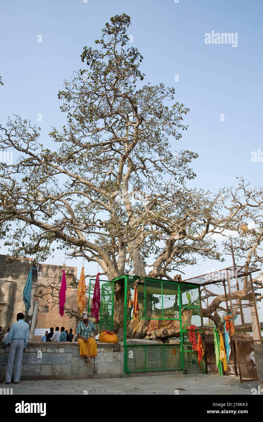 Chir ghat, vrindavan, mathura, uttar pradesh, india, asia Stock Photo ...