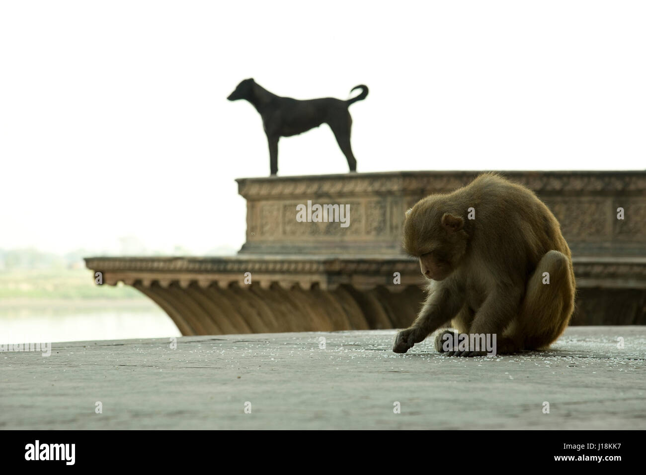 Akm 253886 hi-res stock photography and images - Alamy