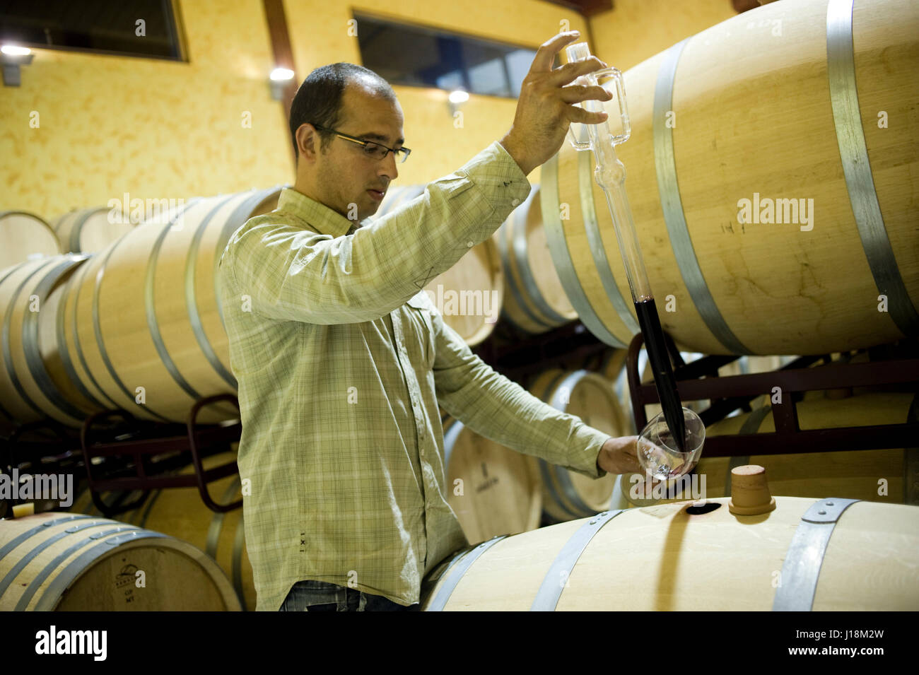 Workers of Iniesta Winery which belongs to Football Club Barcelona ...