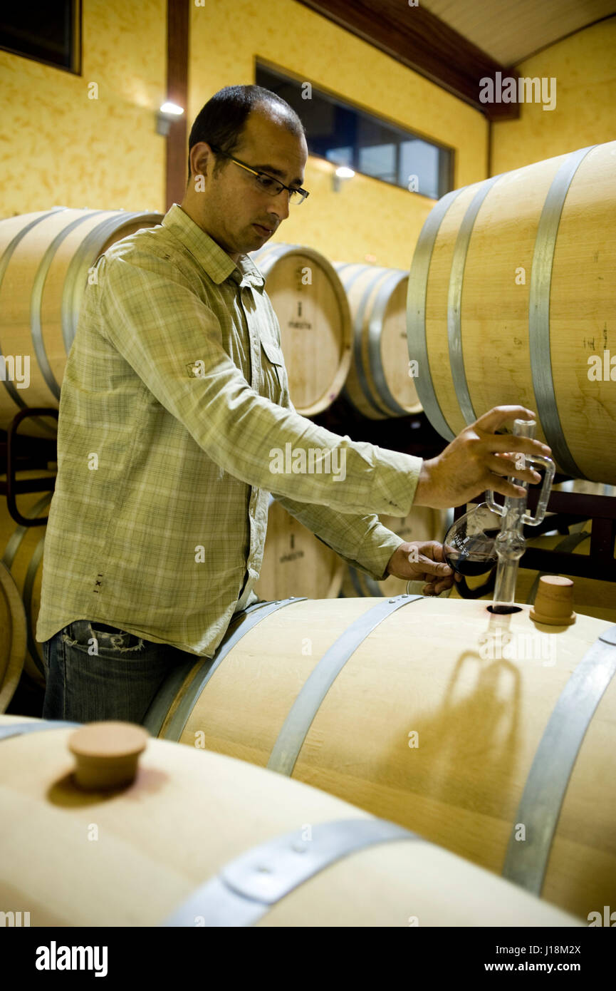 Workers of Iniesta Winery which belongs to Football Club Barcelona ...