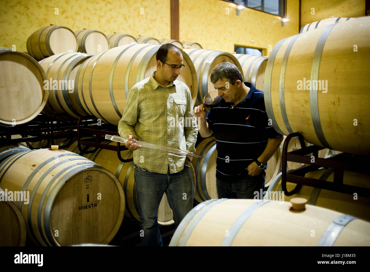Workers of Iniesta Winery which belongs to Football Club Barcelona ...