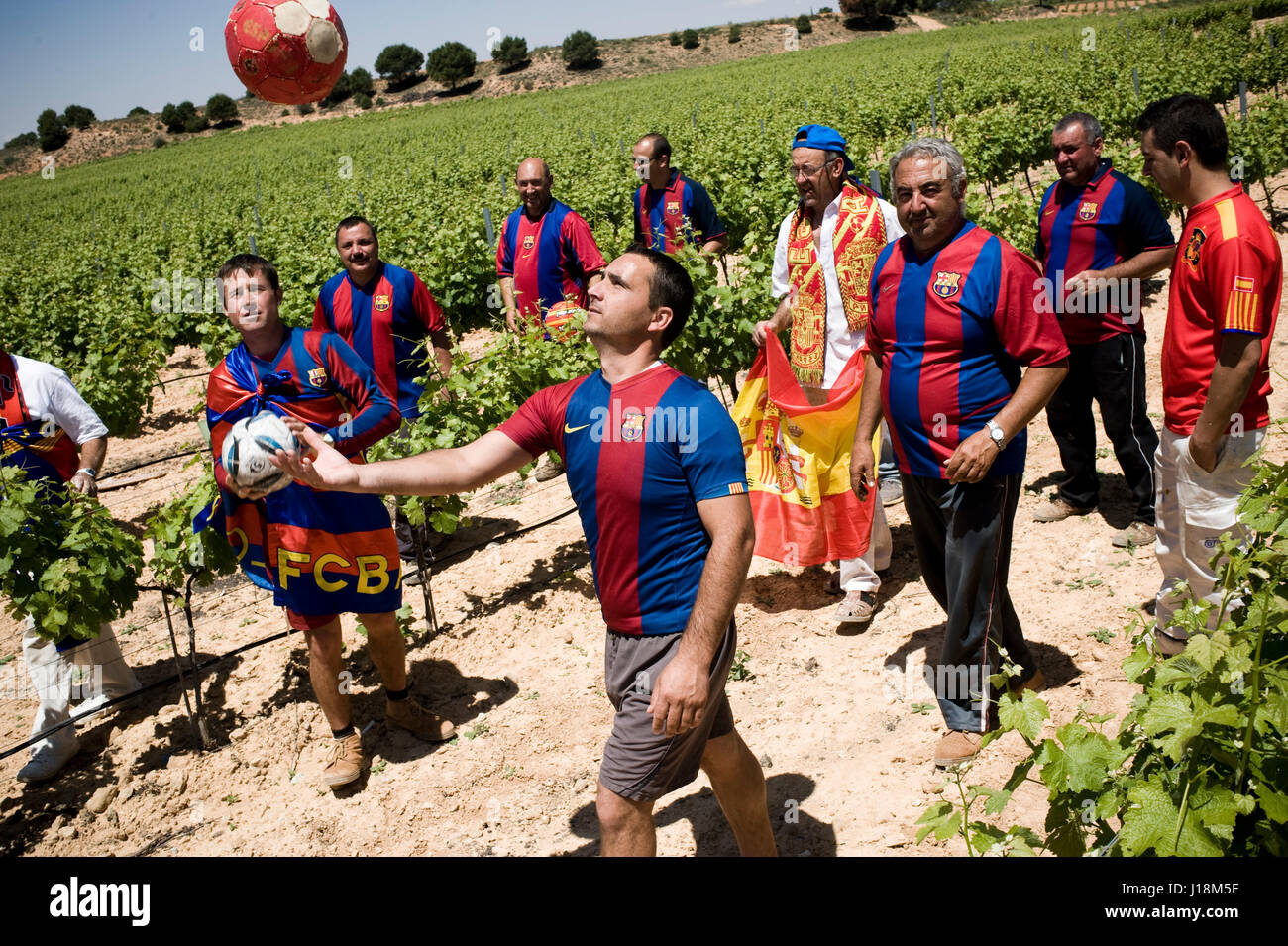 Workers of Iniesta Winery which belongs to Football Club Barcelona ...