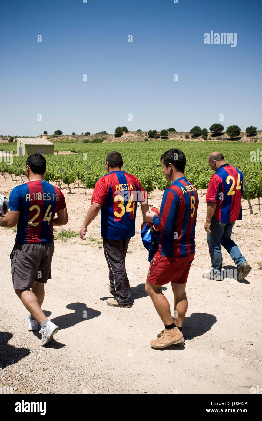 Workers of Iniesta Winery which belongs to Football Club Barcelona ...