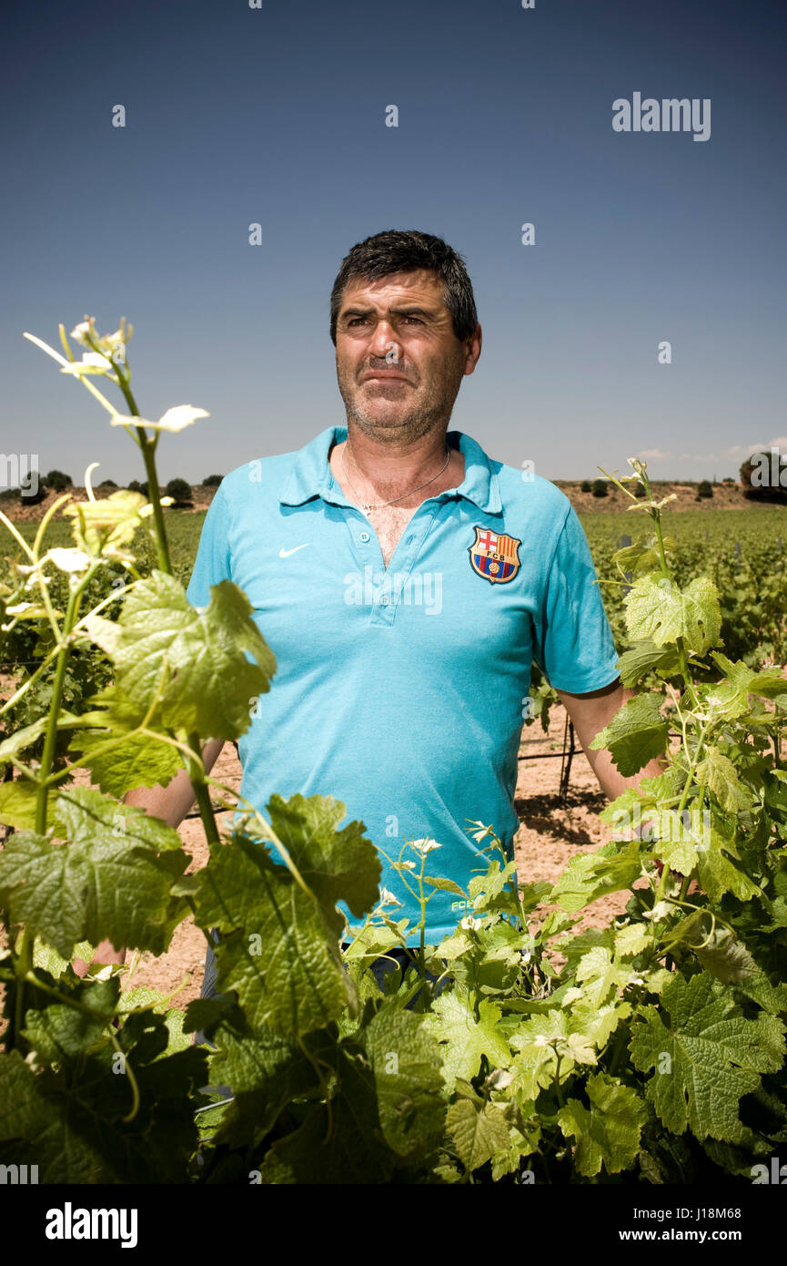Workers of Iniesta Winery which belongs to Football Club Barcelona ...