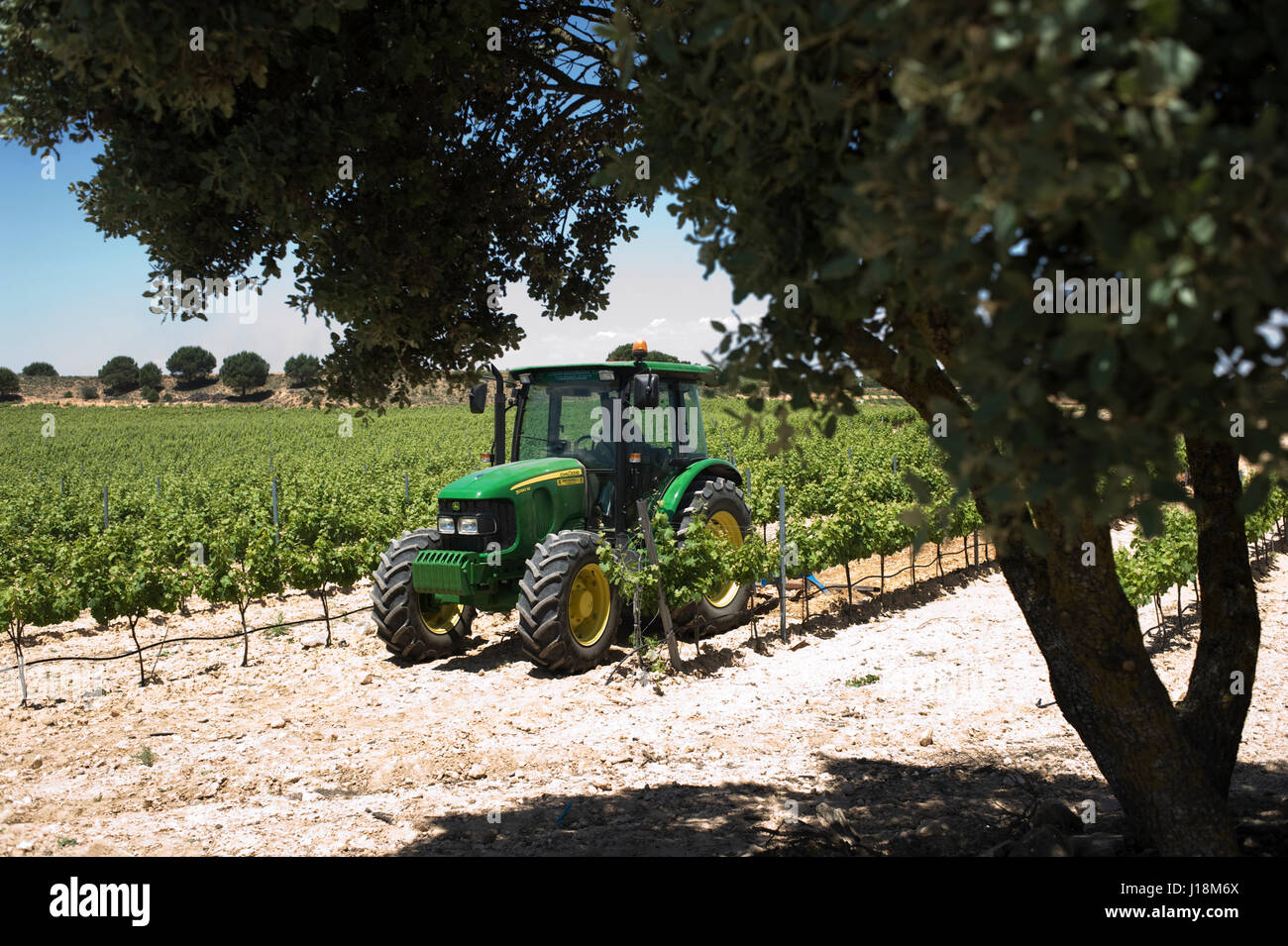 Iniesta Winery belongs to Football Club Barcelona player Andres Iniesta ...