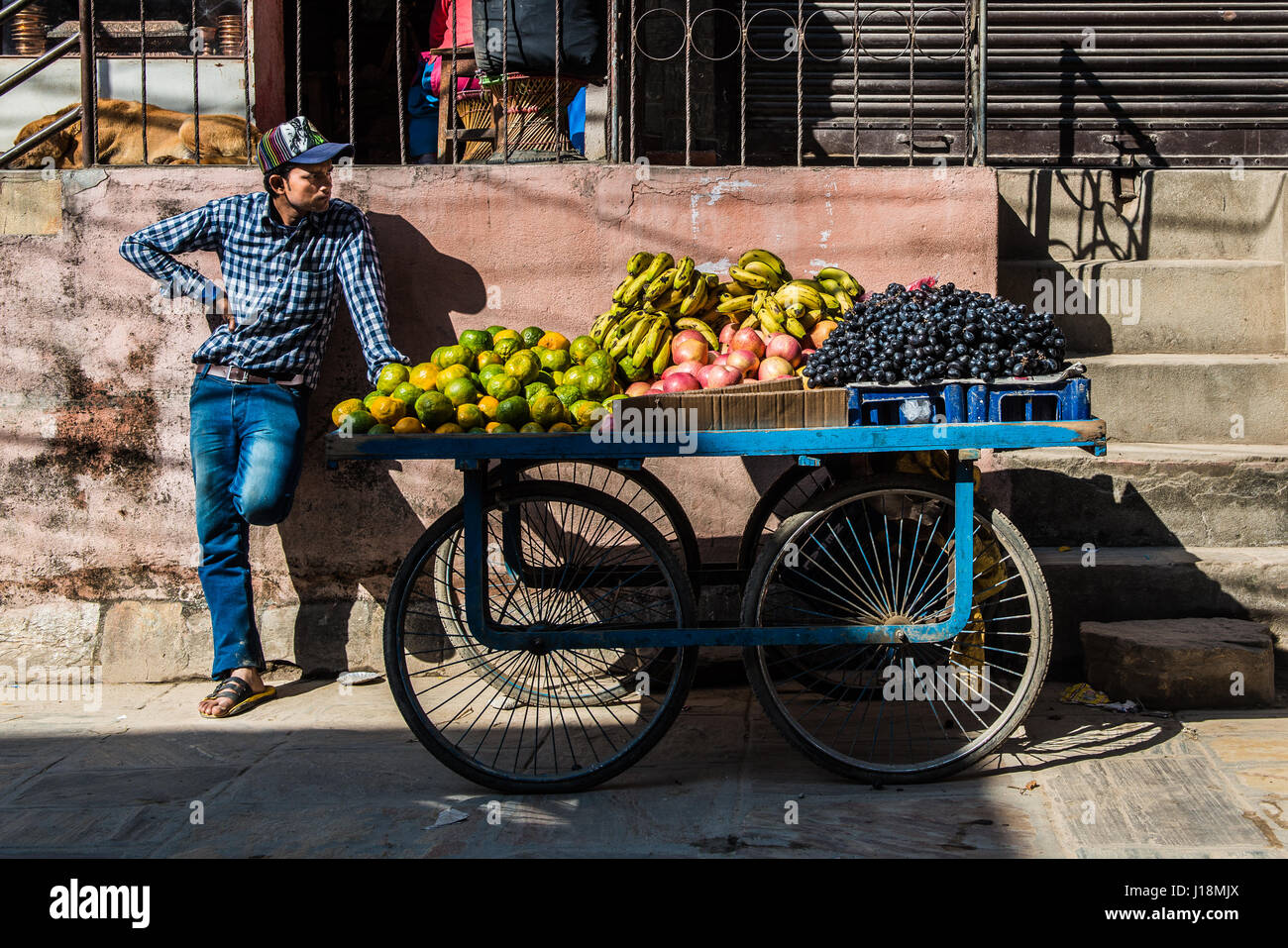 Spanish Verb With Pictures - Digital Bangla School