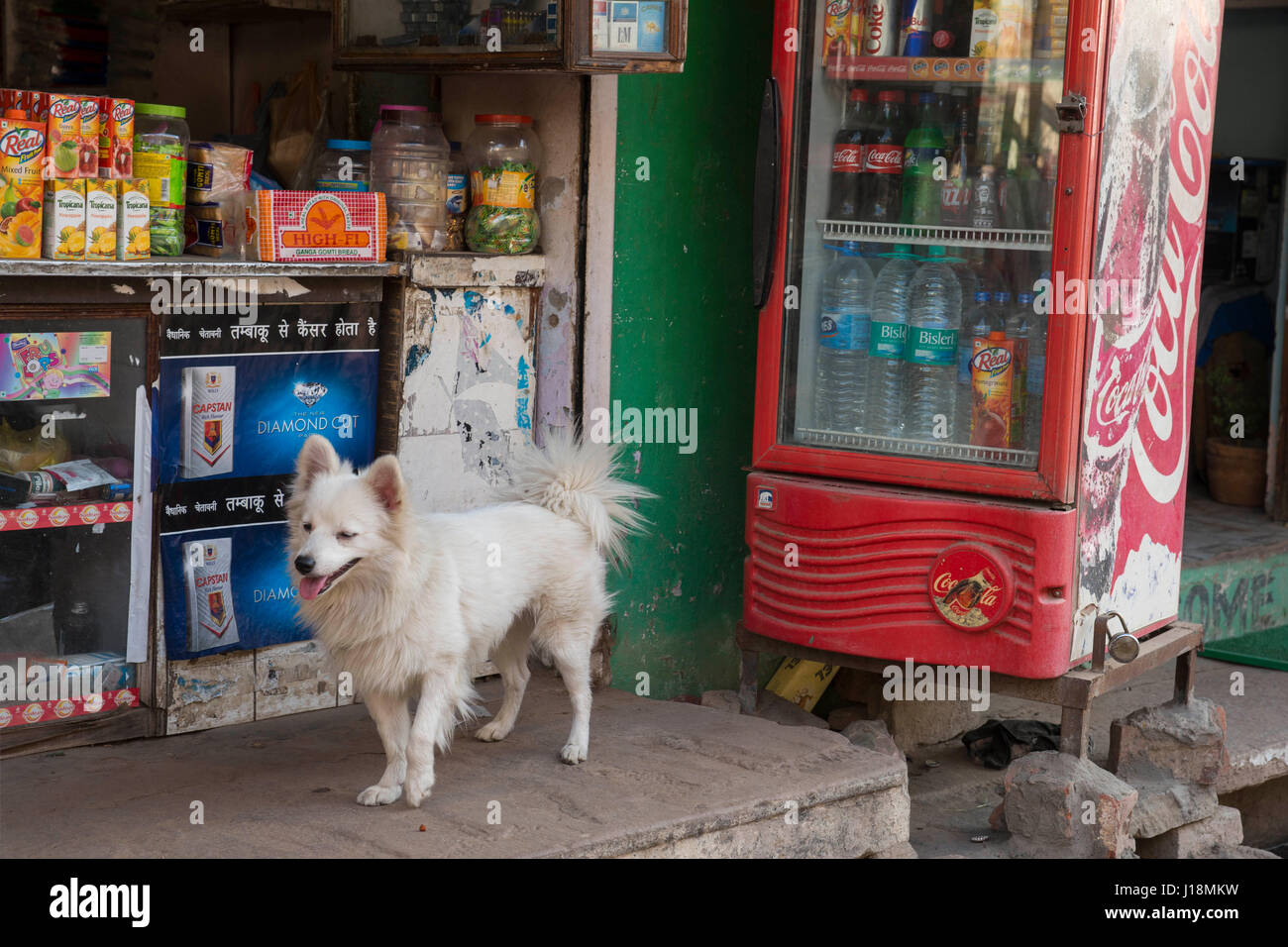 General store in lanes varanasi hi-res stock photography and images - Alamy